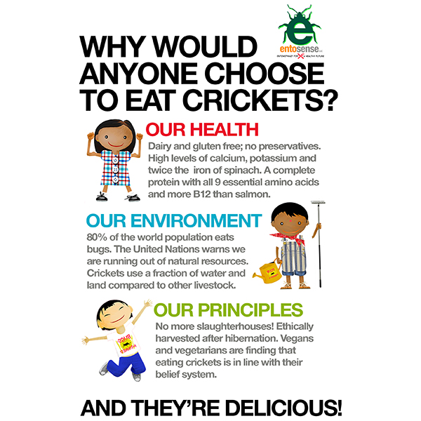 Half Sheet Entomophagy Poster | EntoStyle