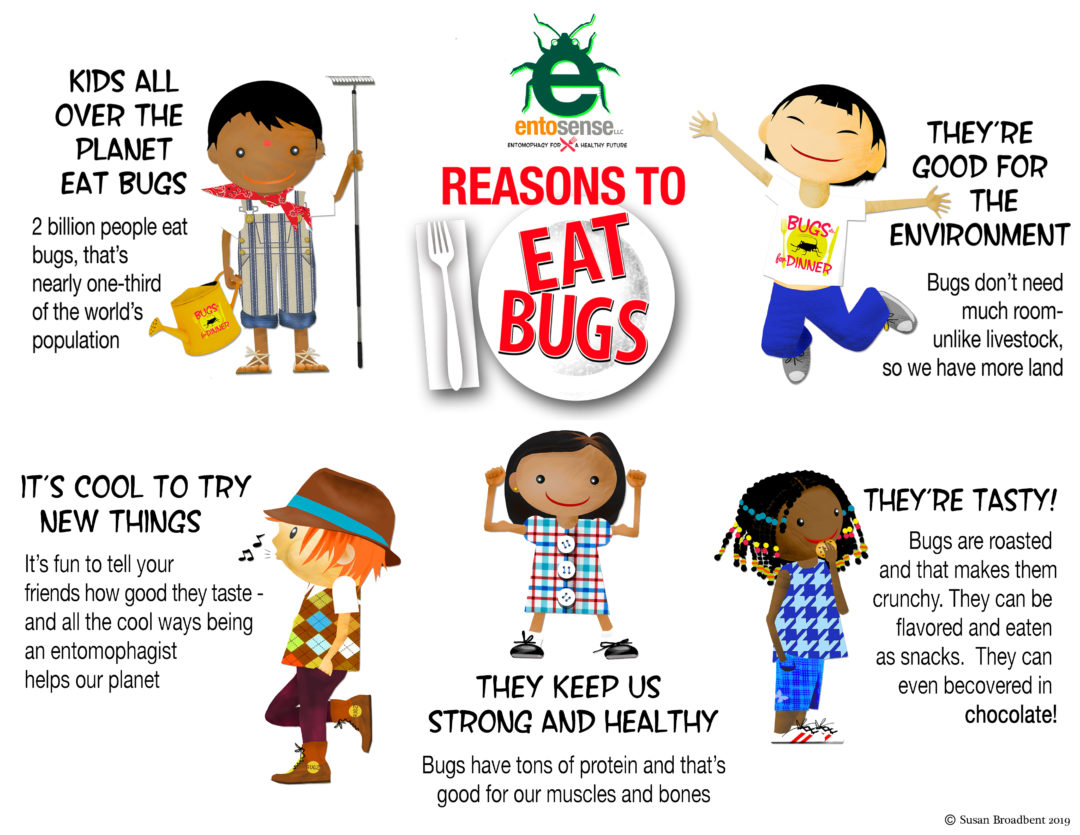 Entomophagy Mini-Poster | EntoStyle