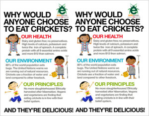 Half Sheet Entomophagy Poster | EntoStyle